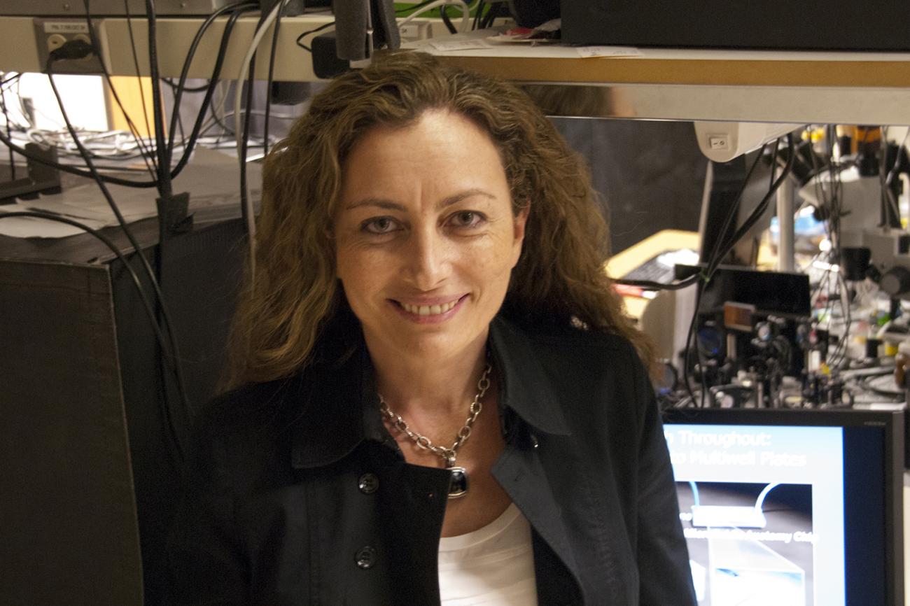 Faculty Directory | Texas ECE - Electrical & Computer Engineering at UT Austin