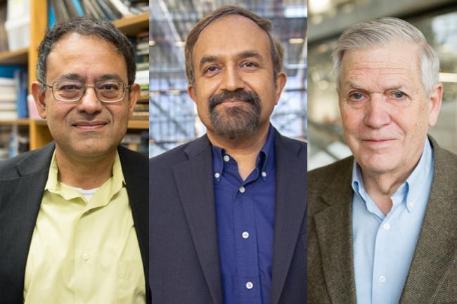 Banerjee, Dodabalapur, and Swartzlander Named Fellows of the National ...