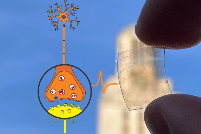 Graphene Synapses Advance Brain Like Computers Texas Ece Electrical And Computer Engineering